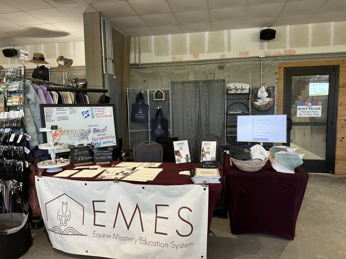 Blog – EMES Academy